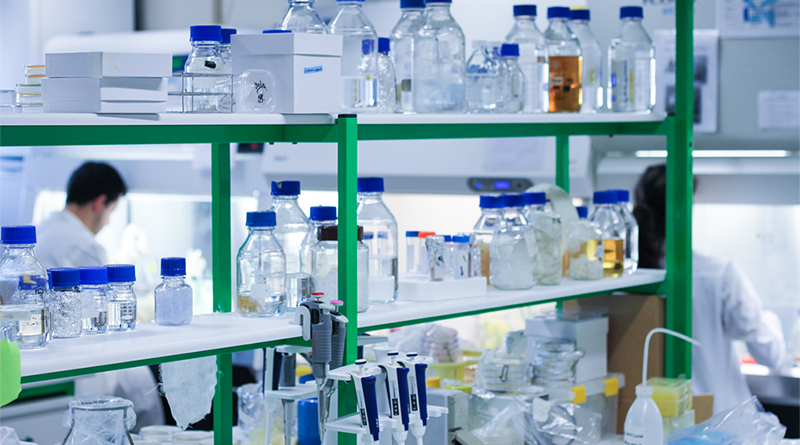 Centro de Engenharia Biológica da UMinho leva ciência e inovação a toda ...