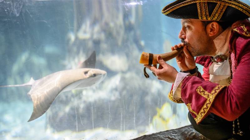 SEA LIFE Porto oferece entrada gratuita aos pequenos aniversariantes ...