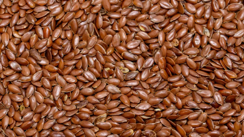 Poucos sabem, mas esta pequena semente é uma grande fonte de ómega-3 • Terras do Homem